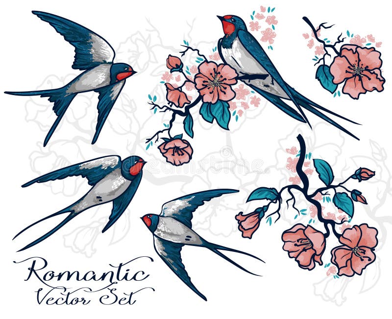 Bird swallow set. stock vector. Illustration of design - 30207614