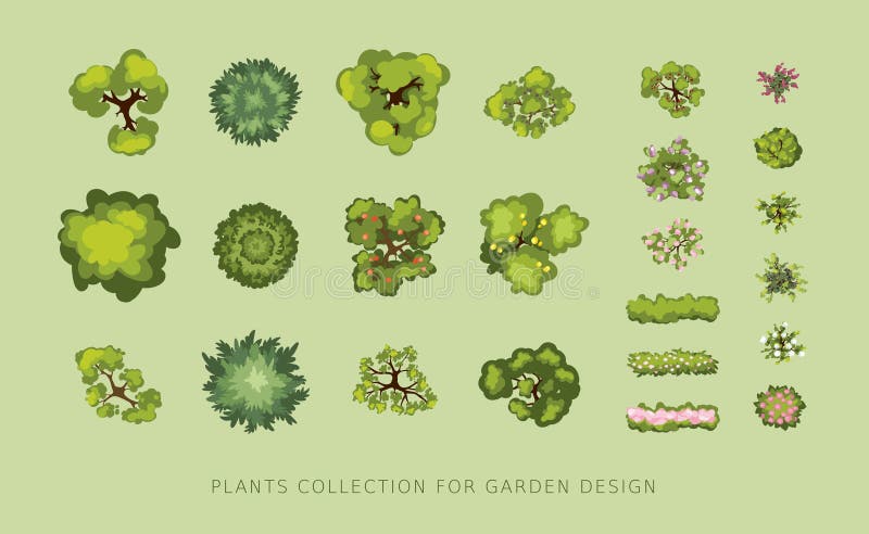 Plants Collection for Garden Design. Stock Vector - Illustration of ...