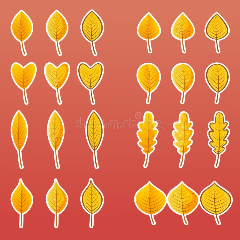 Set of Vector Illustrations of Yellow Leaves with Smooth Edges Stock ...