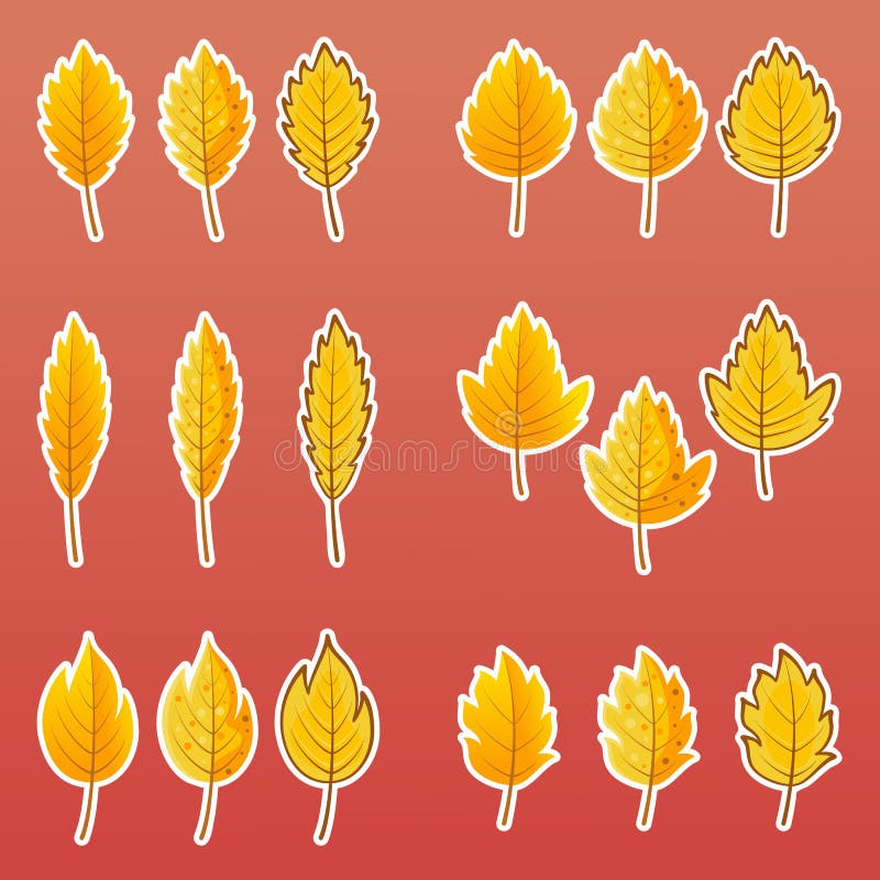 Set of Vector Illustrations of Yellow Leaves with Smooth Edges Stock ...