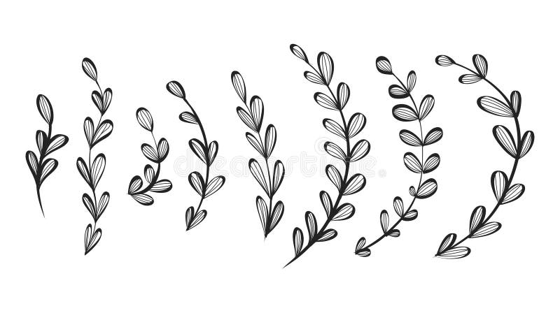 Set of Vector Isolated Decorative Black Branches with Leaves ...