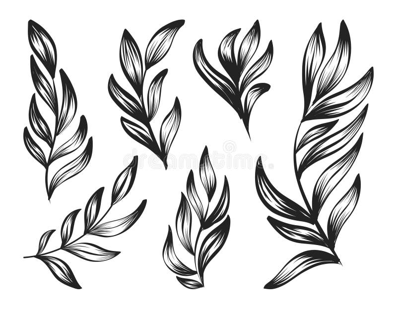 Set of Vector Isolated Decorative Black Branches with Leaves ...