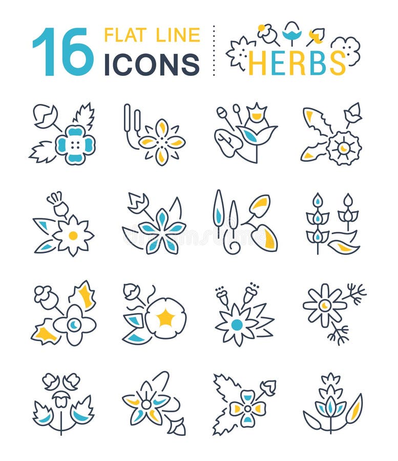 Set Vector Line Icons of Herbs. Stock Illustration - Illustration of ...