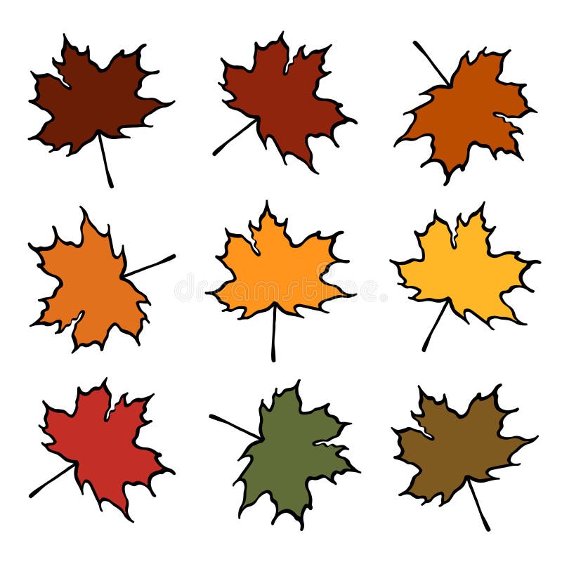 Set of Vector Maple Leaves of Different Colors on a White Background ...