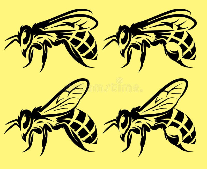 Set of Vector Monochrome Illustrations with Different Bees Stock Vector ...