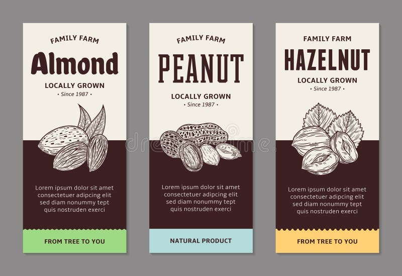 Set of vector nuts banners stock vector. Illustration of packaging - 276875214