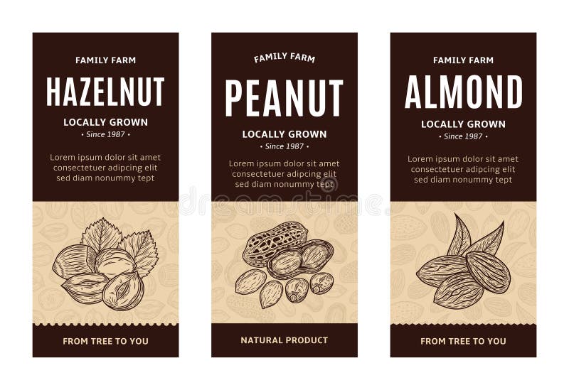 Set of Vector Nuts and Seeds Banners Stock Vector - Illustration of ...