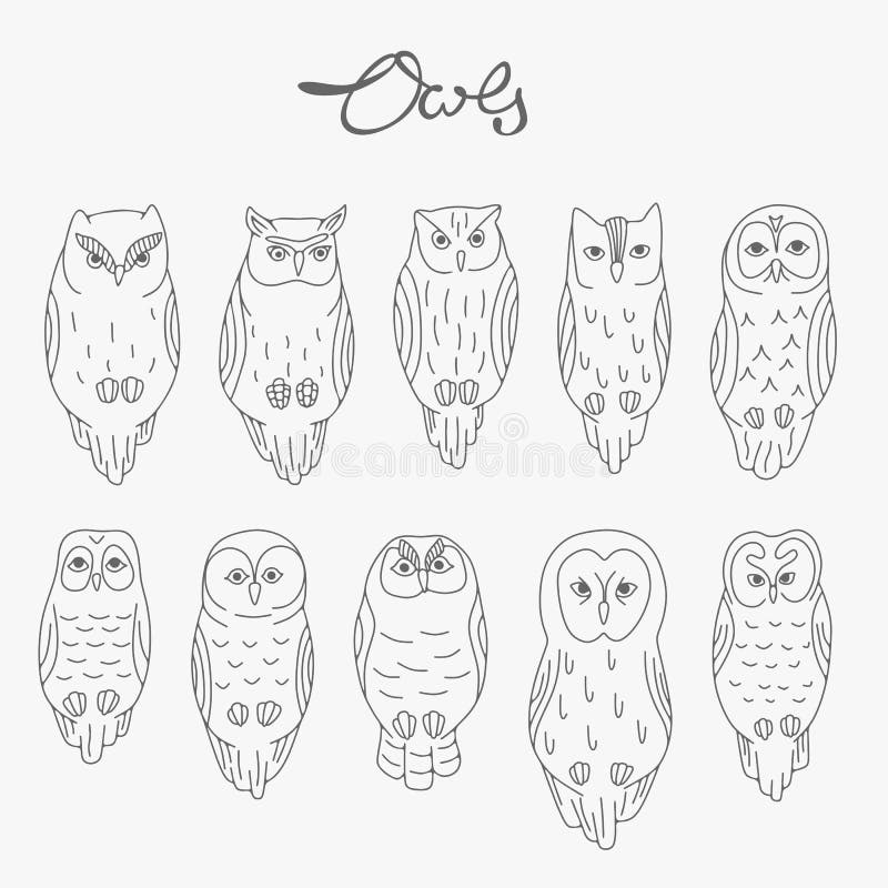 Set of Vector Owls, Line Art Stock Vector - Illustration of character ...