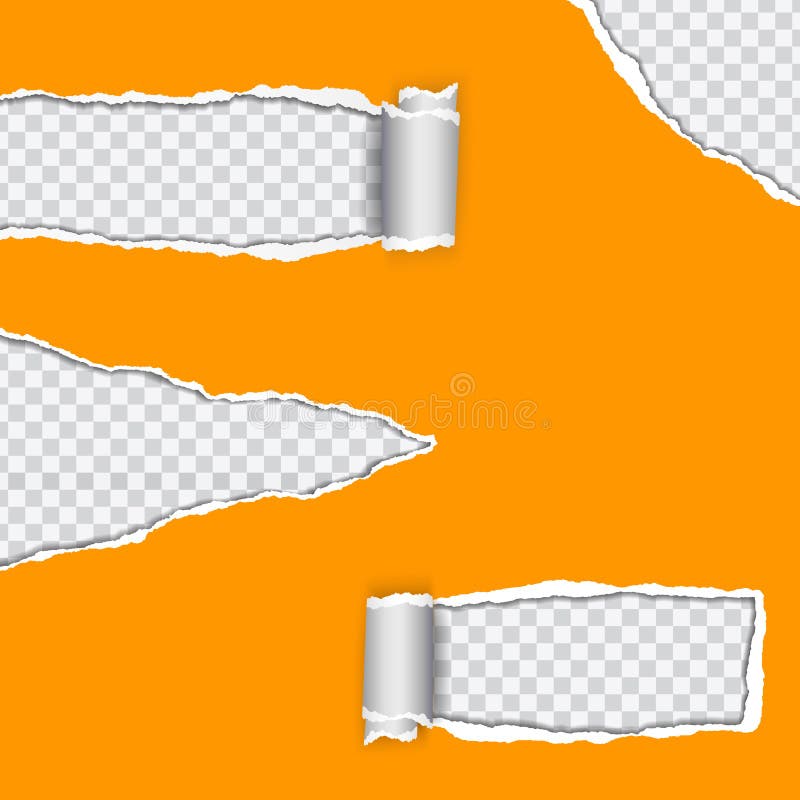 Set Vector Realistic Illustration of Orange Torn Paper with Roll Stock ...