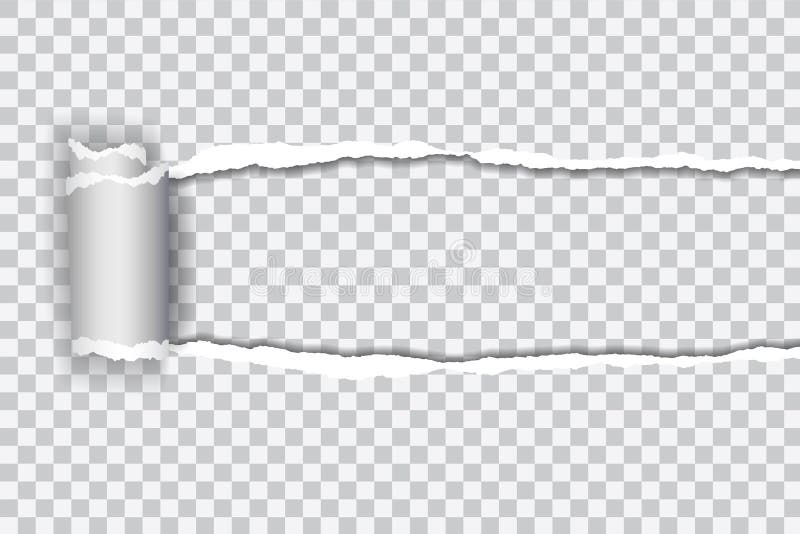 Set Vector Realistic Illustration of Transparent Torn Paper with Stock ...