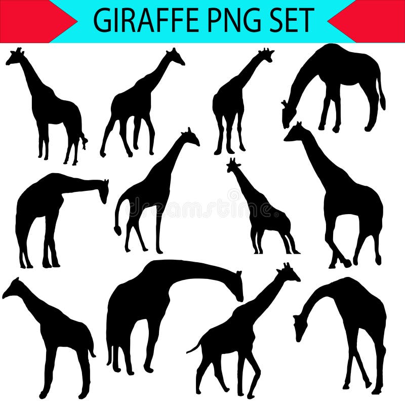 Set of Vector Silhouettes of Giraffes. Giraffe on Isolated Background ...