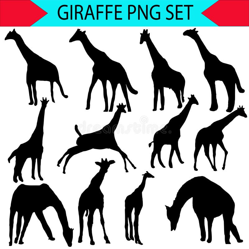 Set of Vector Silhouettes of Giraffes. Giraffe on Isolated Background ...
