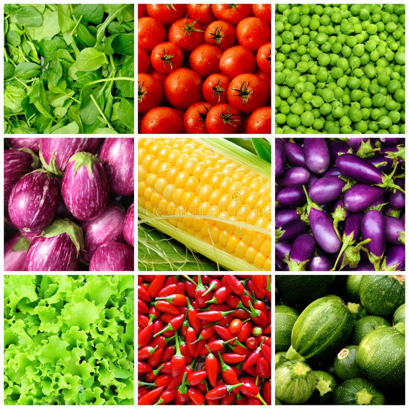 Set of Vegetable Backgrounds Stock Photo - Image of corn, natural: 55740234