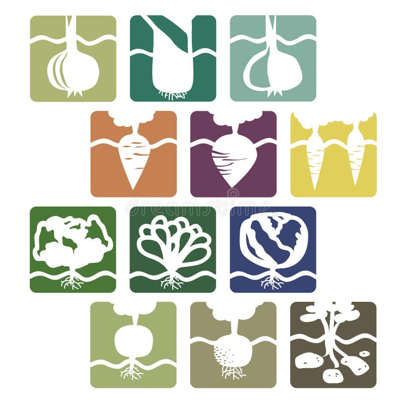 Set of vegetable signs stock vector. Illustration of radish - 101193144