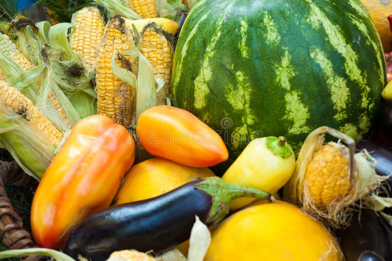 Set of vegetables stock photo. Image of harvesting, cabbage - 29377486