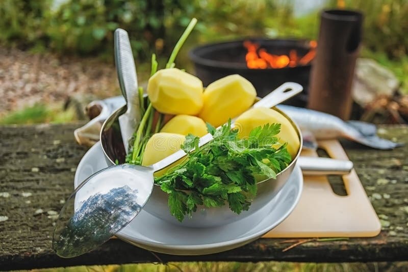 Set of Vegetables and Fish Outdoors in the Forest, Preparing To Cook on ...