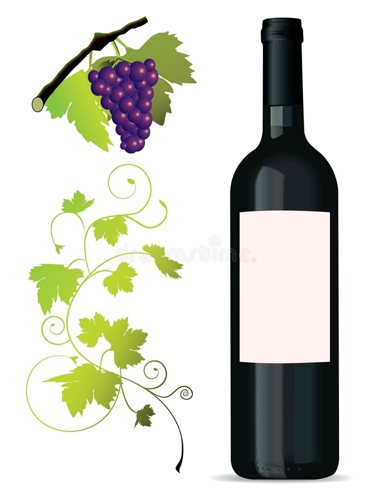 Vine Elements Stock Illustrations – 16,526 Vine Elements Stock ...