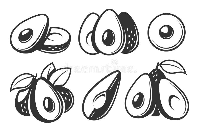 Set of Vintage Avocado Icons Isolated on White Background Stock Vector ...
