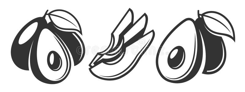 Set of Vintage Avocado Icons Isolated on White Background Stock Vector ...