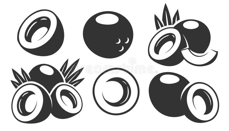 Vintage coconut icon stock vector. Illustration of healthy - 278077942