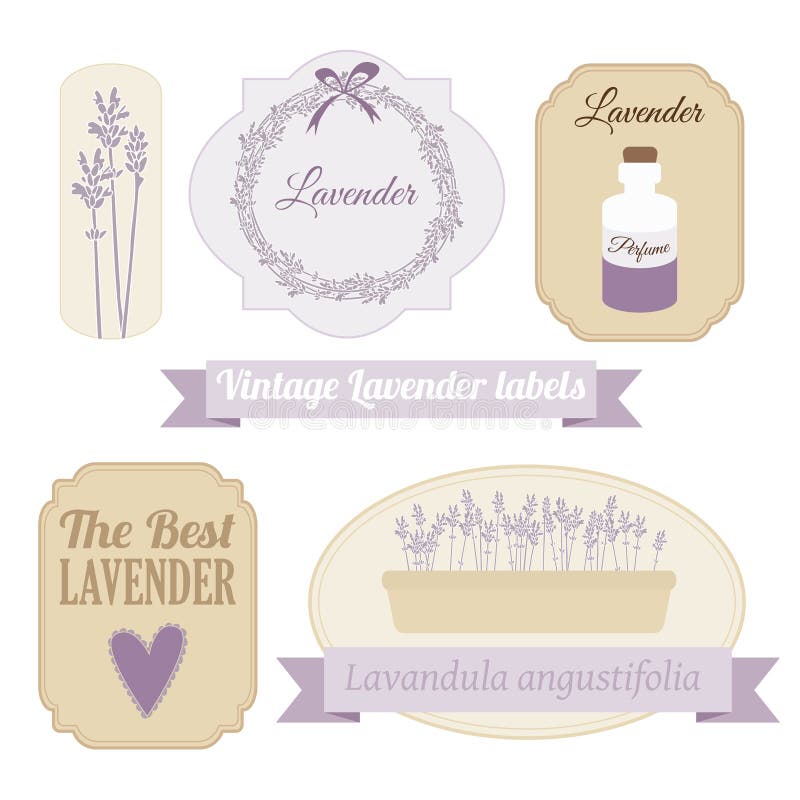 Lavender Background, Product Label Packaging Design Stock Vector ...