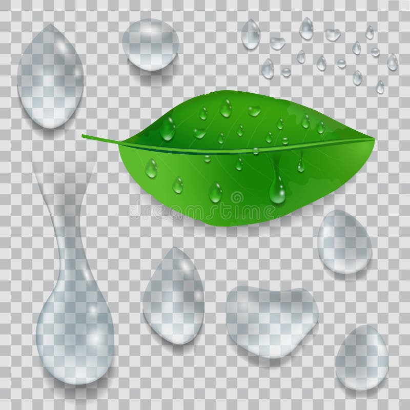 Set of Water Drops and Green Leaf with Dew Drops Isolated on ...