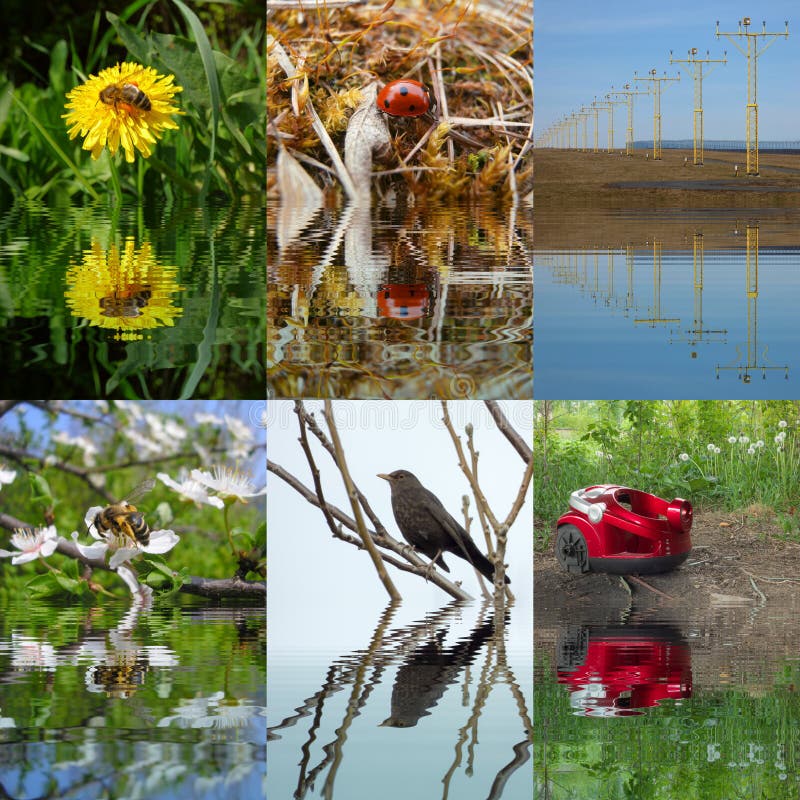 Set of water reflections stock image. Image of pond, reflection - 53483725