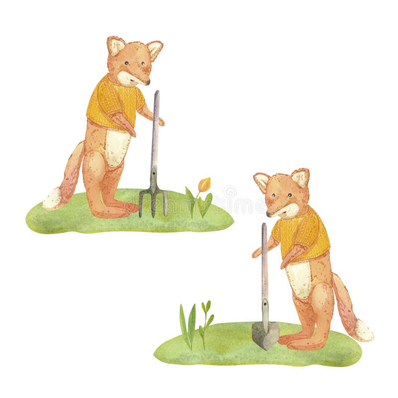 A Set of Watercolor Compositions with a Fox and Garden Tools, a ...