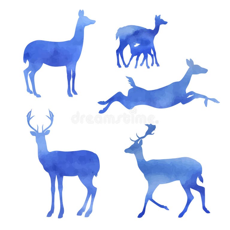 Set of watercolor doe stock vector. Illustration of nature - 51996648
