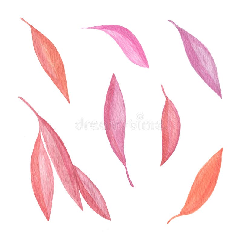 A Set of Watercolor Fancy Leaves on the White Background, Hand Drawn ...