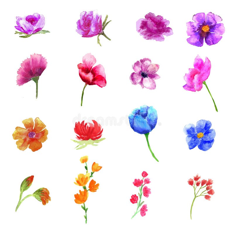A Set of Watercolor Flowers. Drawing Design for Logos. Stock ...