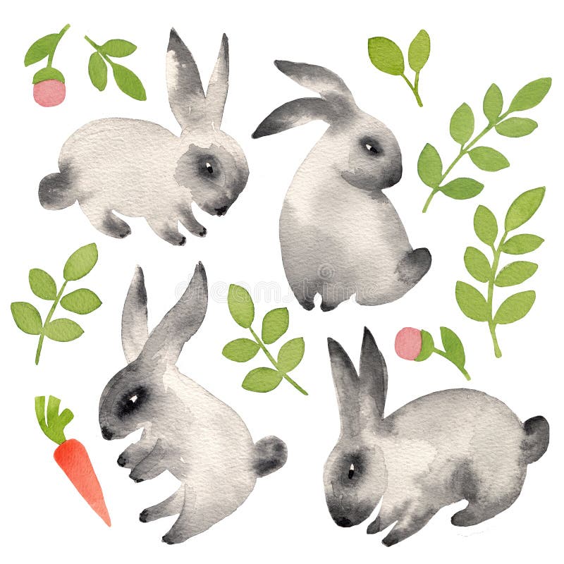 Set of Watercolor Hand Drawing Rabbits, Carrots and Spring Grass. Stock ...