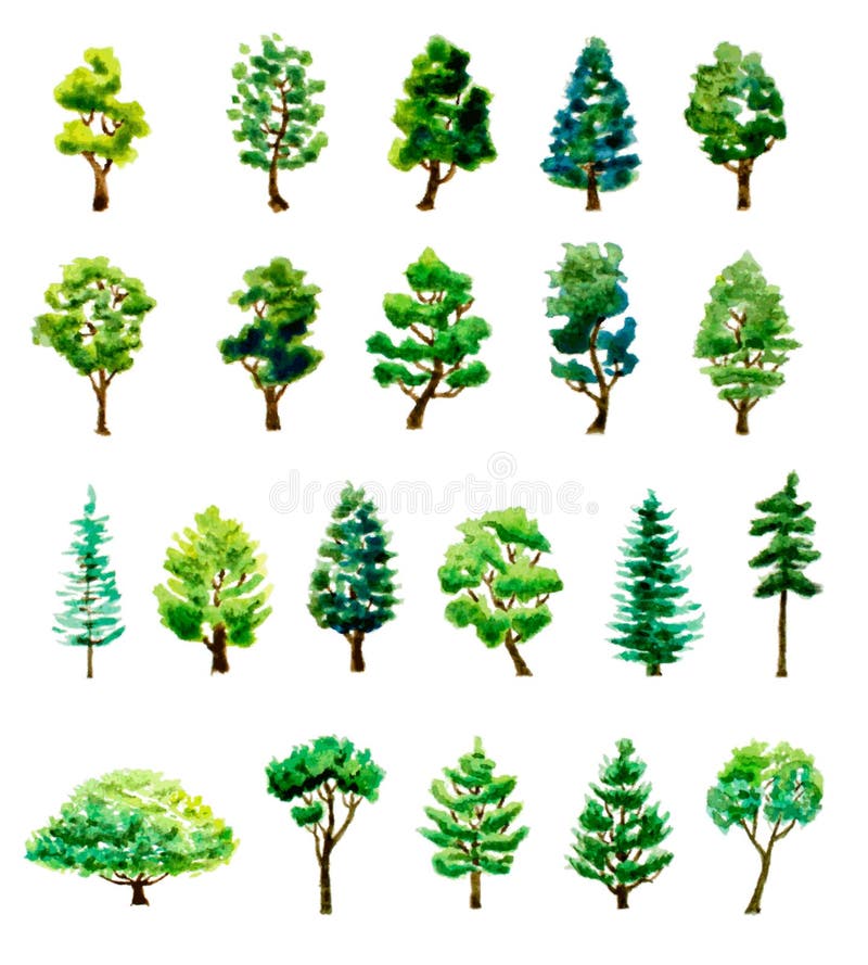 Set of Hand Drawn Watercolor Trees. Stock Illustration - Illustration ...