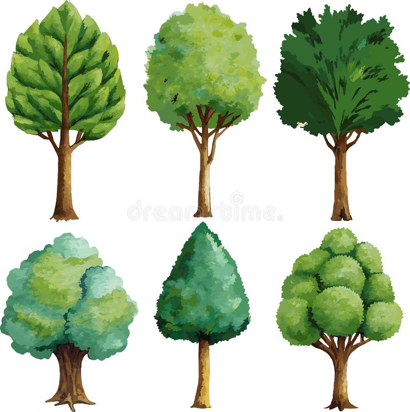 Set of Watercolor Trees without Background for Easy Customization Stock ...