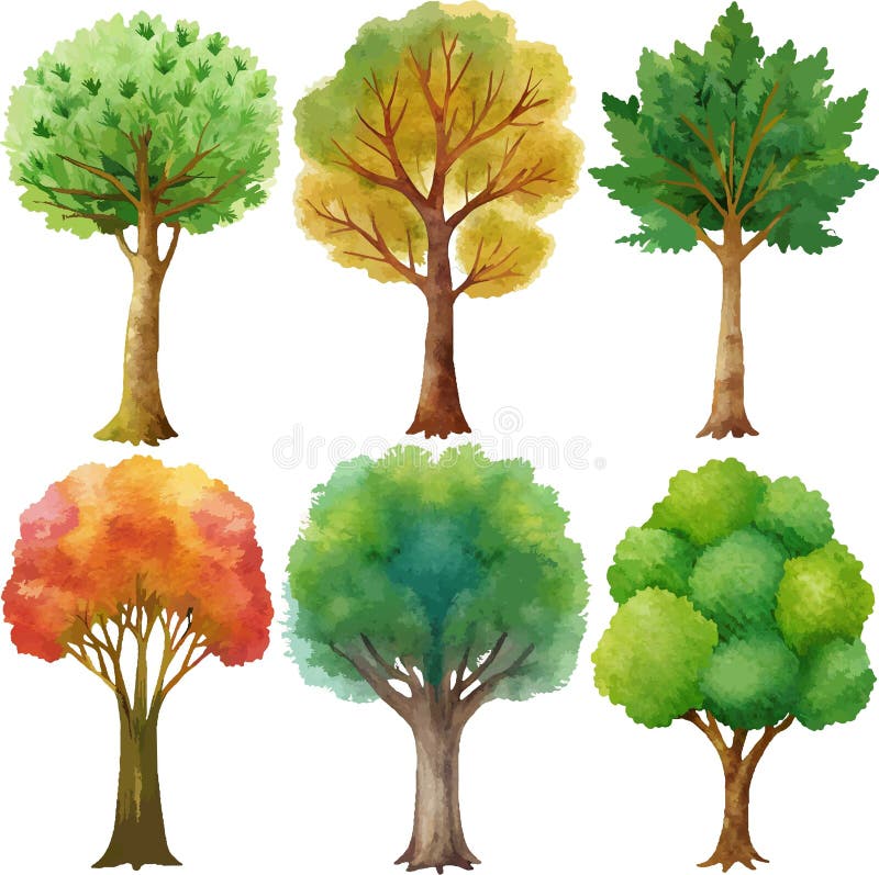 Set of Watercolor Trees without Background for Easy Customization Stock ...