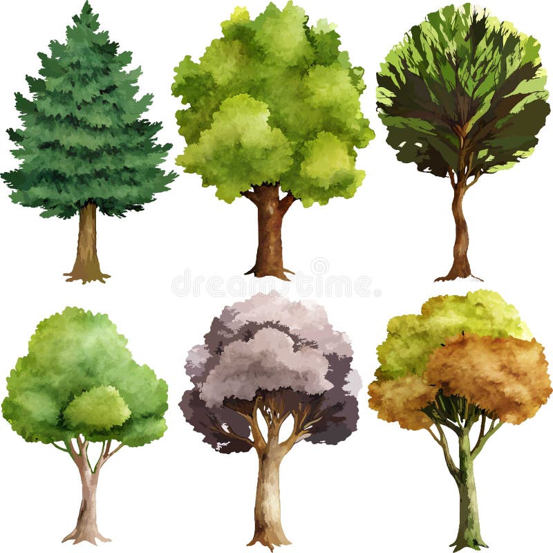 Set of Watercolor Trees without Background for Easy Customization Stock ...