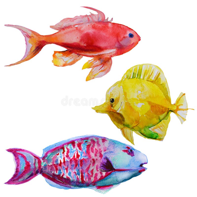 Cute Tropical Fish Watercolor Stock Illustration - Illustration of cute ...