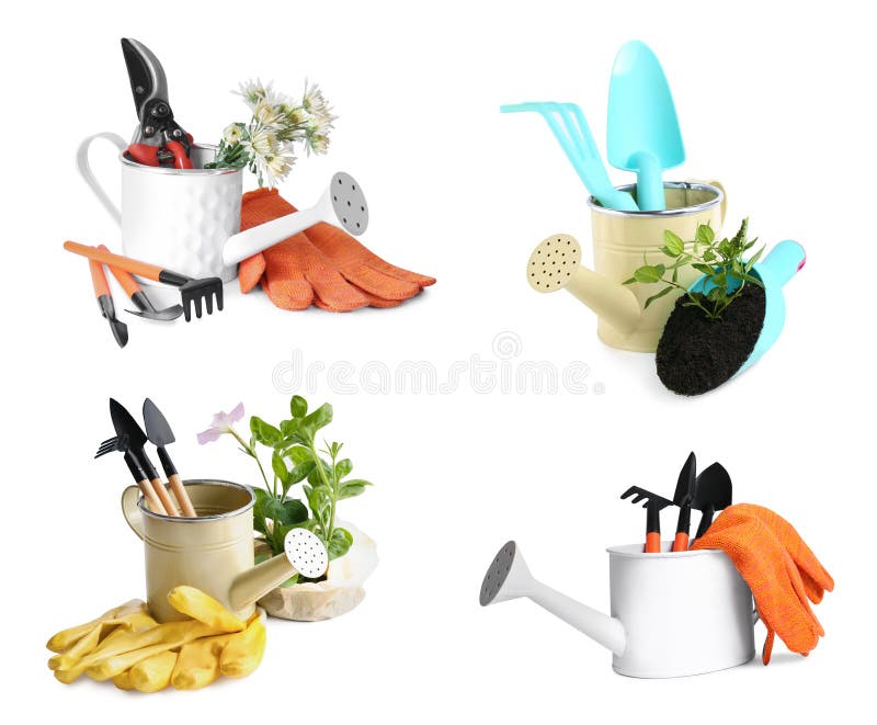 Set with Watering Cans and Different Gardening Tools on White ...