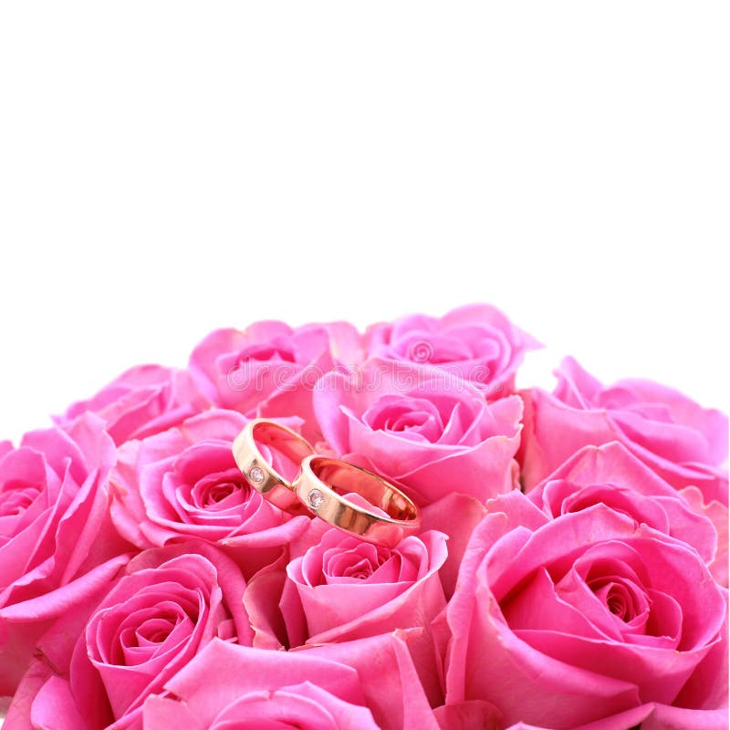 Set of Wedding Rings in Pink Rose Taken Closeup Stock Image - Image of ...