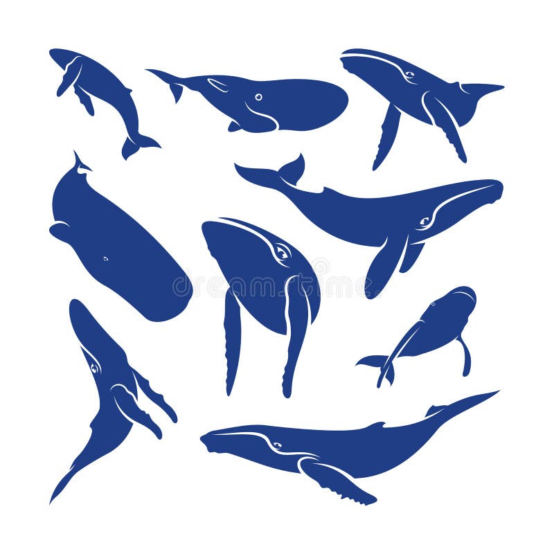 Set of Whale Design Vector, Creative Whale Illustration Template Stock ...