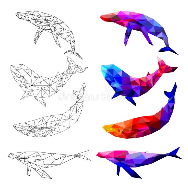 Set of Whale Polygon Geometric. Stock Vector - Illustration of white ...
