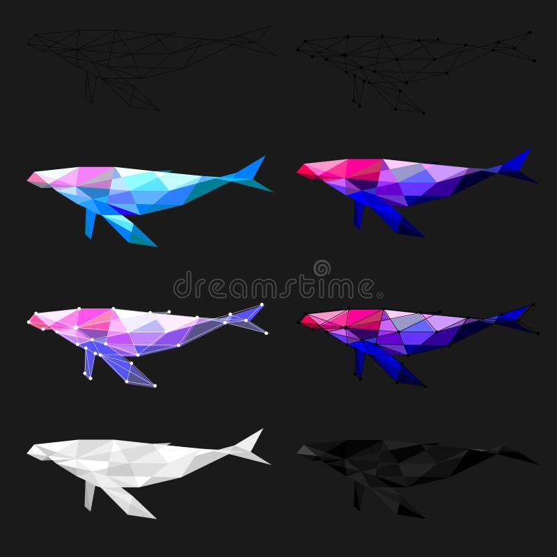 Set of Whale Polygon Geometric. Stock Vector - Illustration of white ...