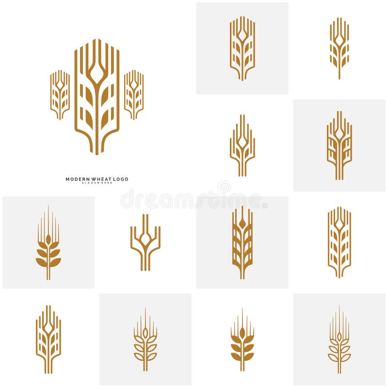 Set of Wheat Luxury Grain and Bread Labels. Nature Wheat Stock Vector ...