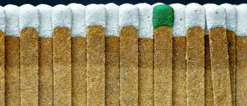 Set of White-headed Parallel Matches Except One Highlighted Green ...