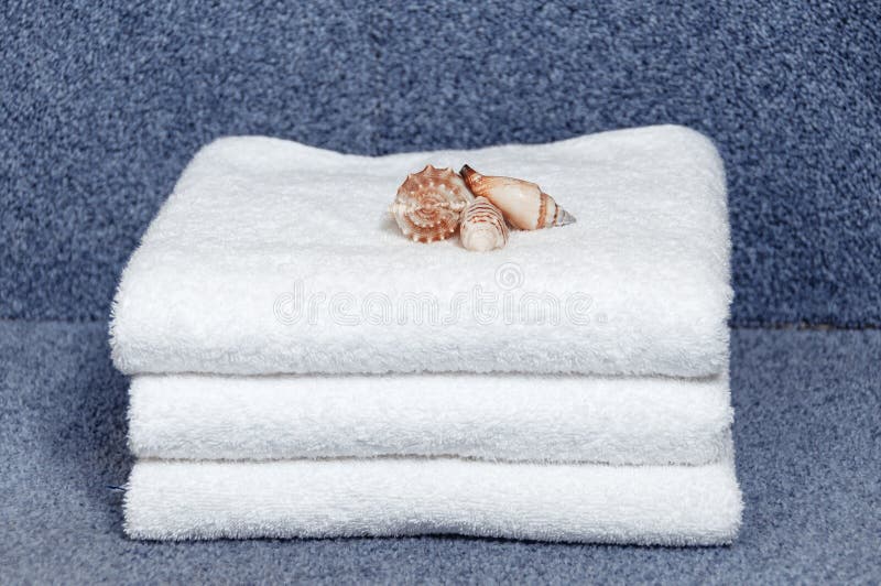 Seashells Hotel Spa Stock Photos - Free & Royalty-Free Stock Photos ...