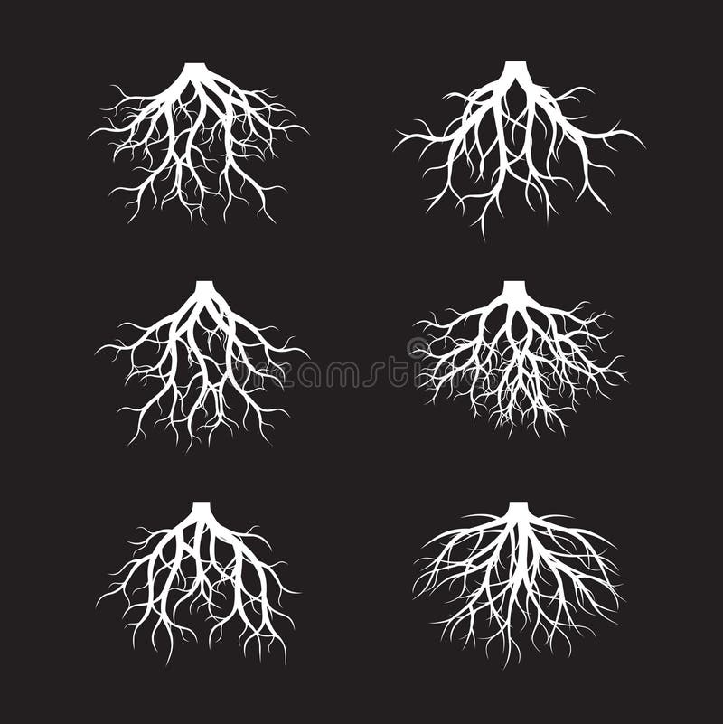 Set of white Roots. stock vector. Illustration of collection - 87762919