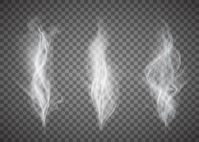 Set of White Smoke Pattern on a Transparent Background Stock Vector ...