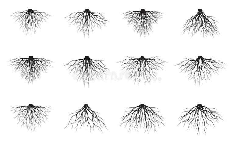 Horizontal Tree Roots Stock Illustrations – 731 Horizontal Tree Roots ...