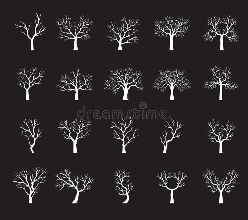 Set of White Trees on Black Background. Vector Outline Illustration ...