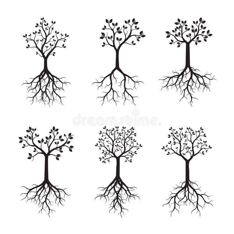 Set of White Trees with Roots. Vector Illustration. Stock Vector ...